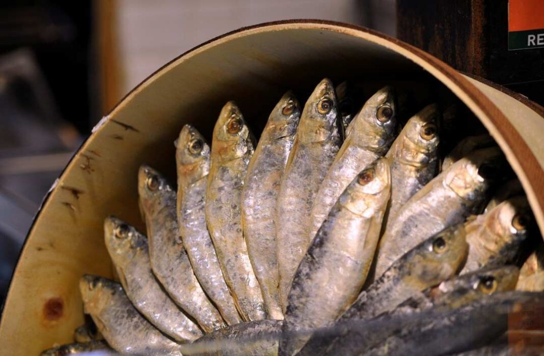 Los salazones y pescados más sabrosos | Candás 365