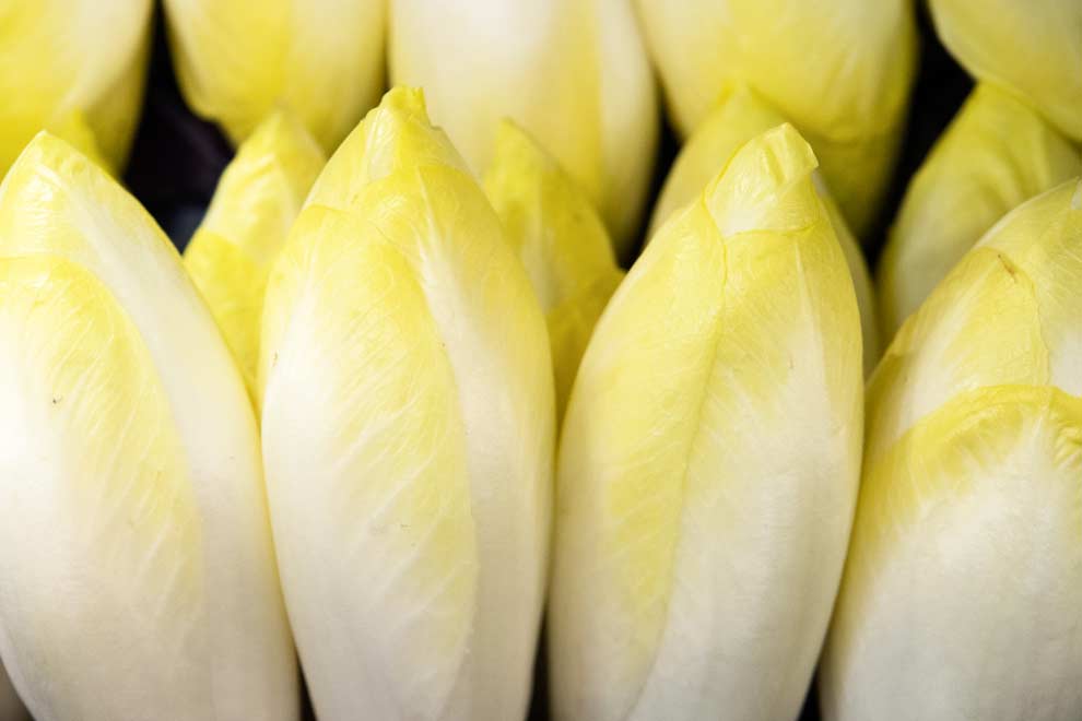 ¿Por qué son saludables las frutas y verduras amargas? | Candás 365