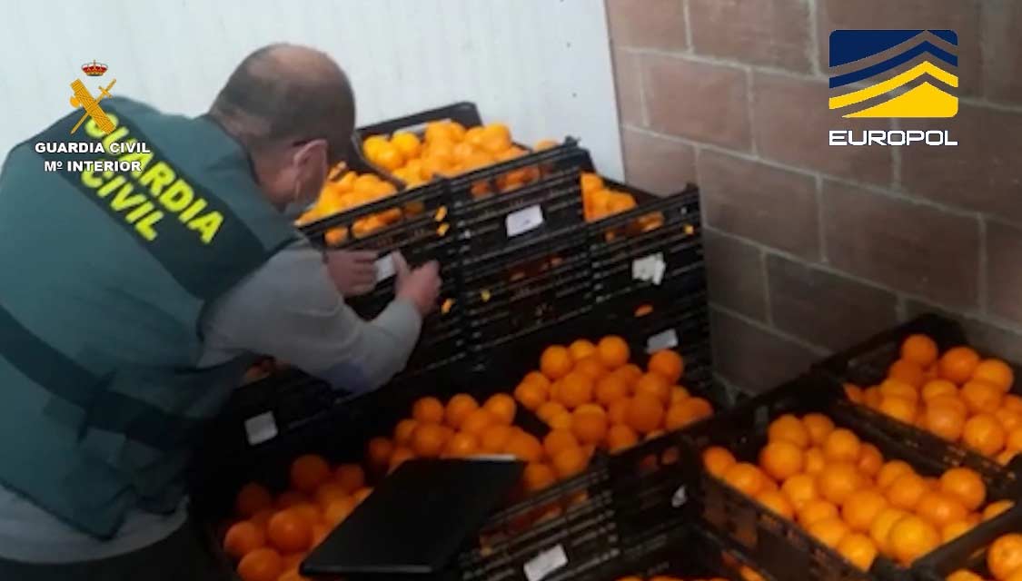 65 detenidos en la Operación Opson XI de la Guardia Civil | Candás 365