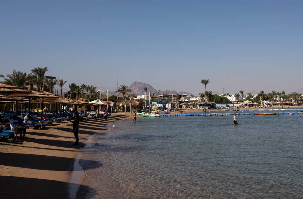 Bucear en el mar Rojo en Egipto, la selva tropical de los mares ...